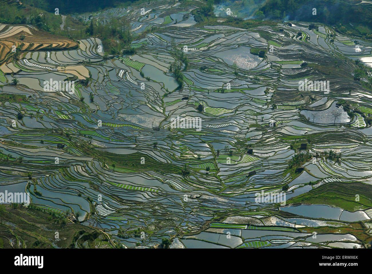 Terraced fields, Yunnan, China Stock Photo - Alamy