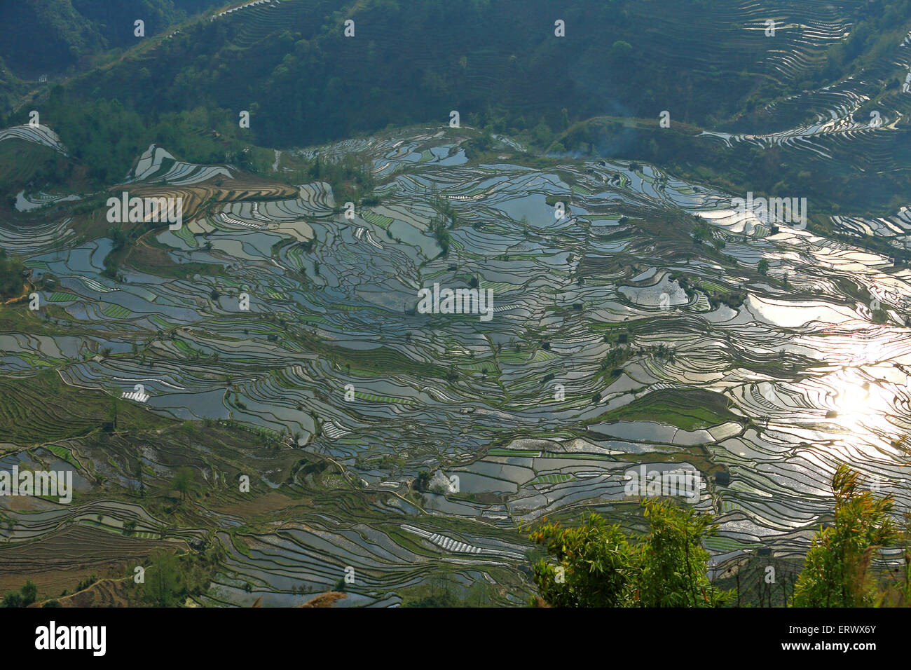 Terraced fields, Yunnan, China Stock Photo - Alamy