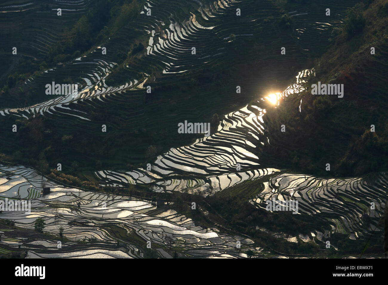 Terraced fields, Yunnan, China Stock Photo - Alamy