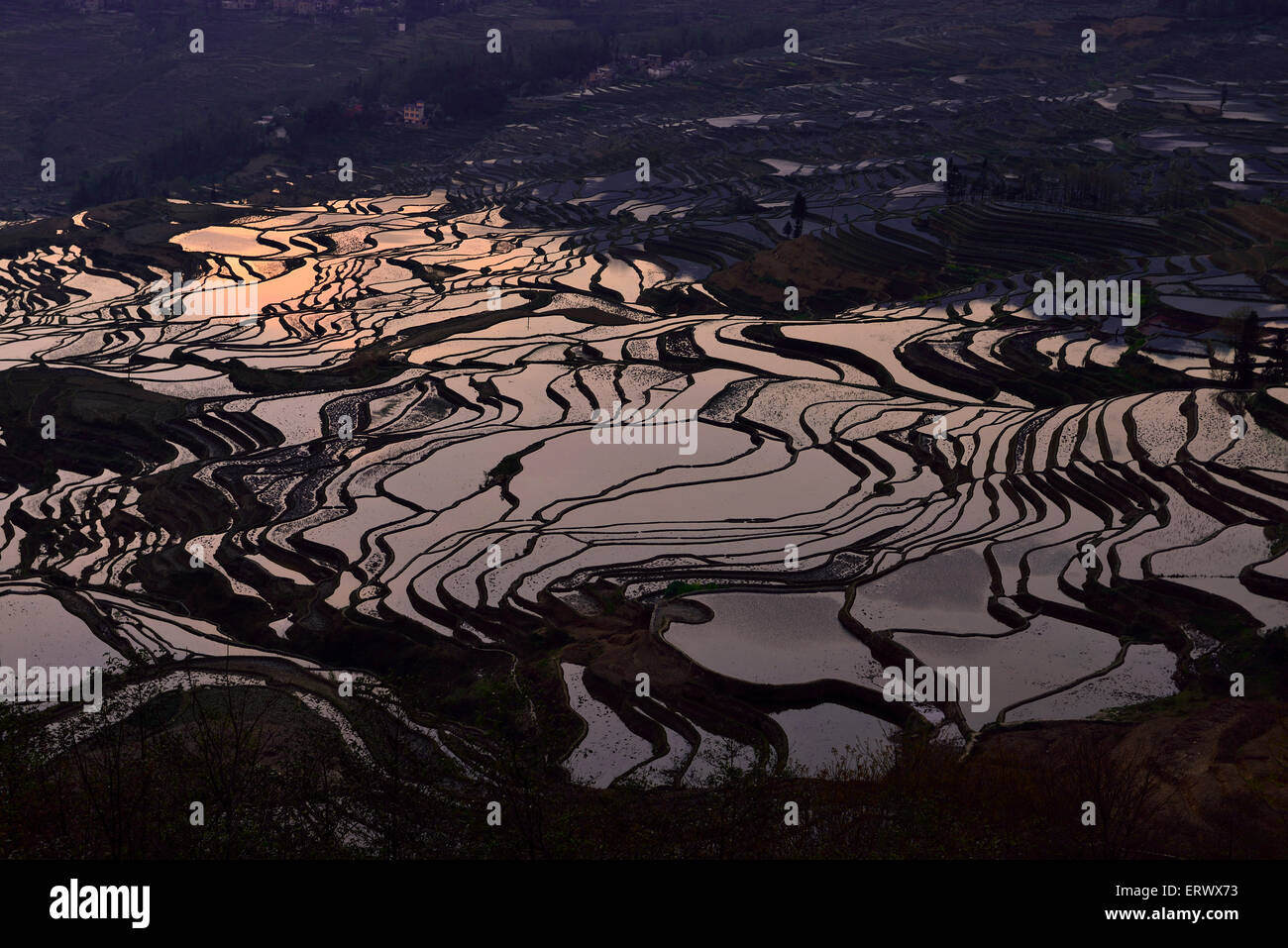 Terraced fields, Yunnan, China Stock Photo - Alamy