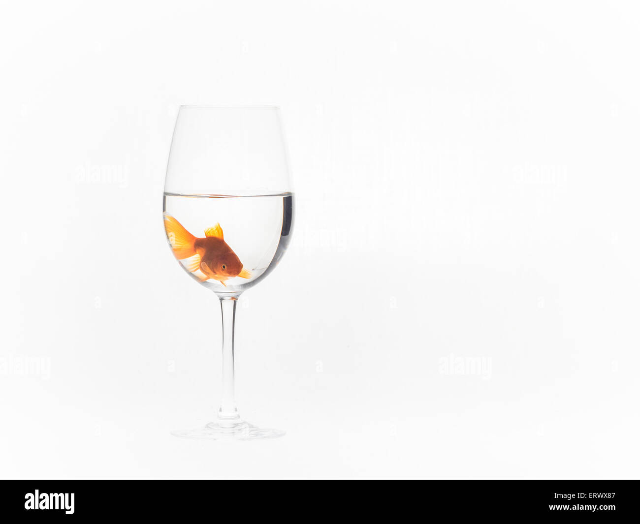 Blue glass water cute Cut Out Stock Images & Pictures - Alamy