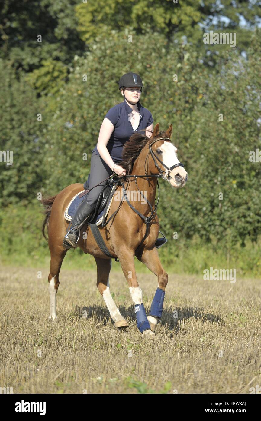 woman rides pony Stock Photo - Alamy