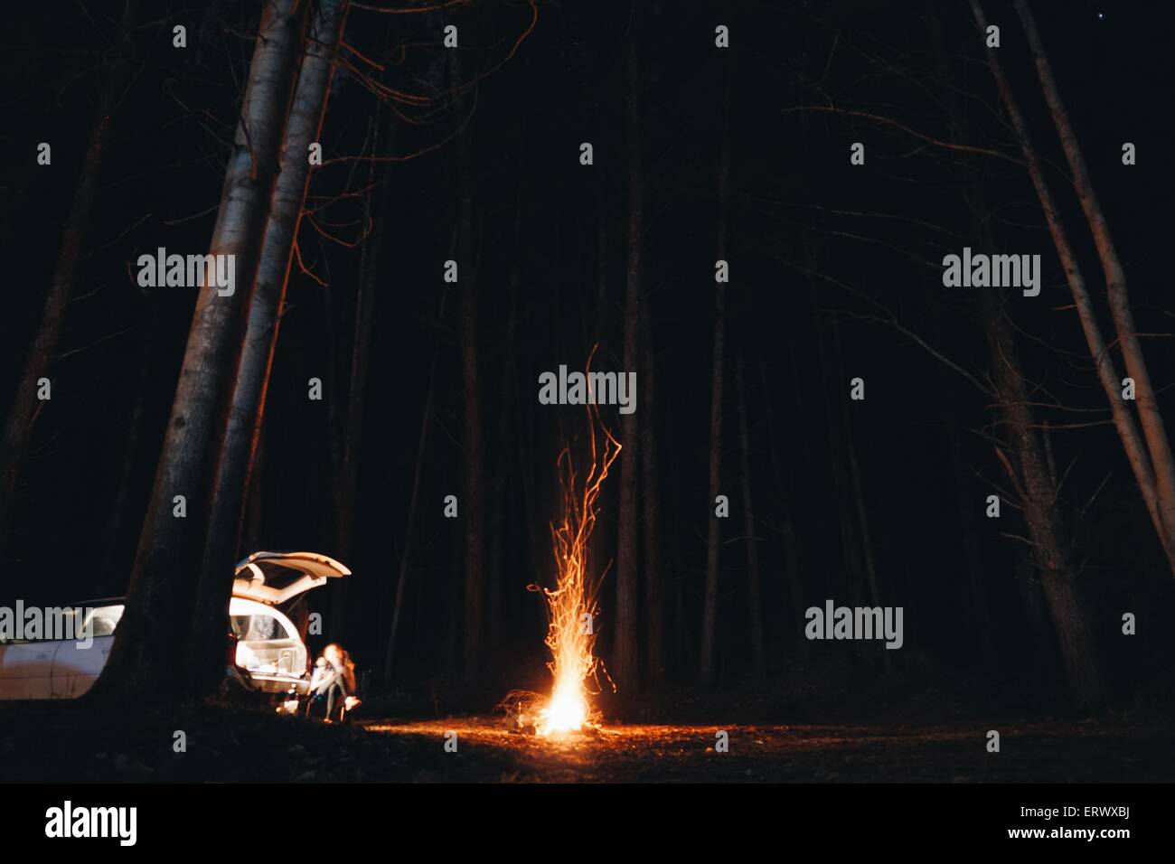 Beautiful blazing campfire in pine forest with car and campsite at ...