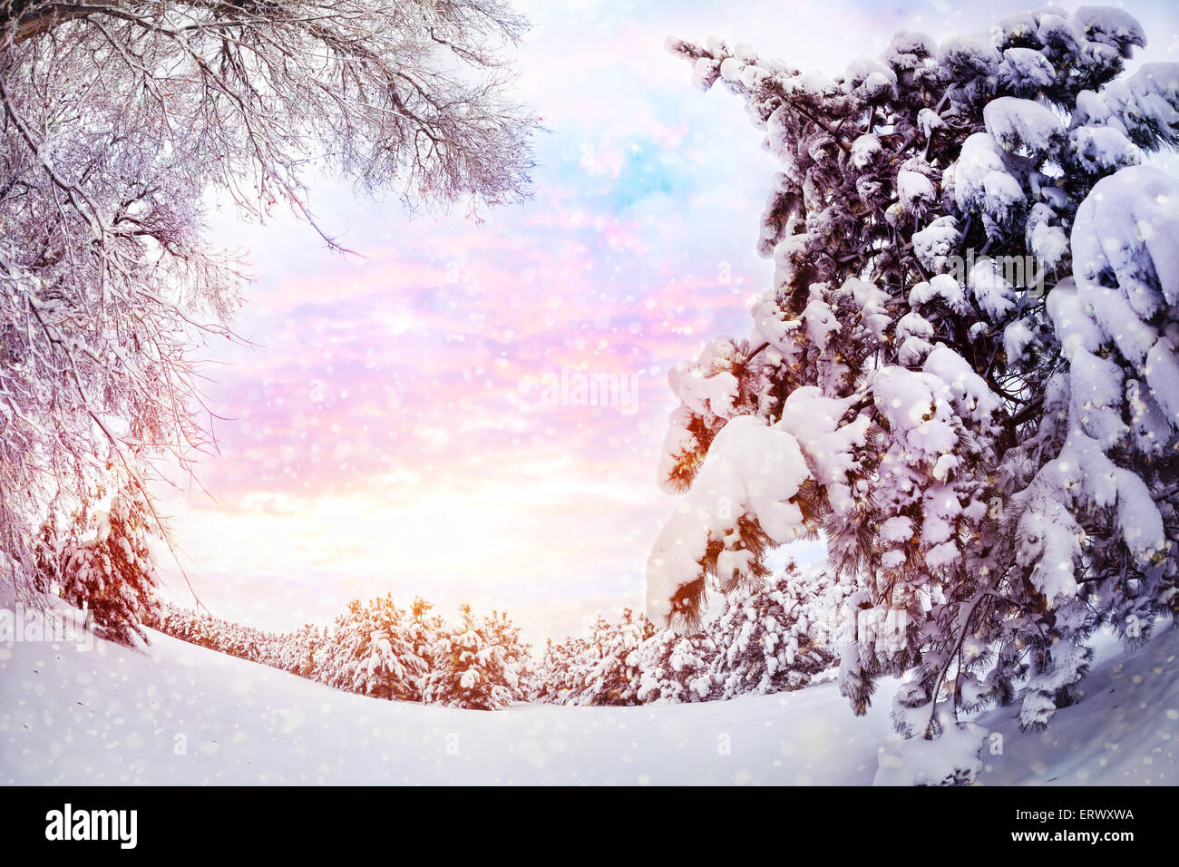 Climate christmas scene snowfall hi-res stock photography and images ...