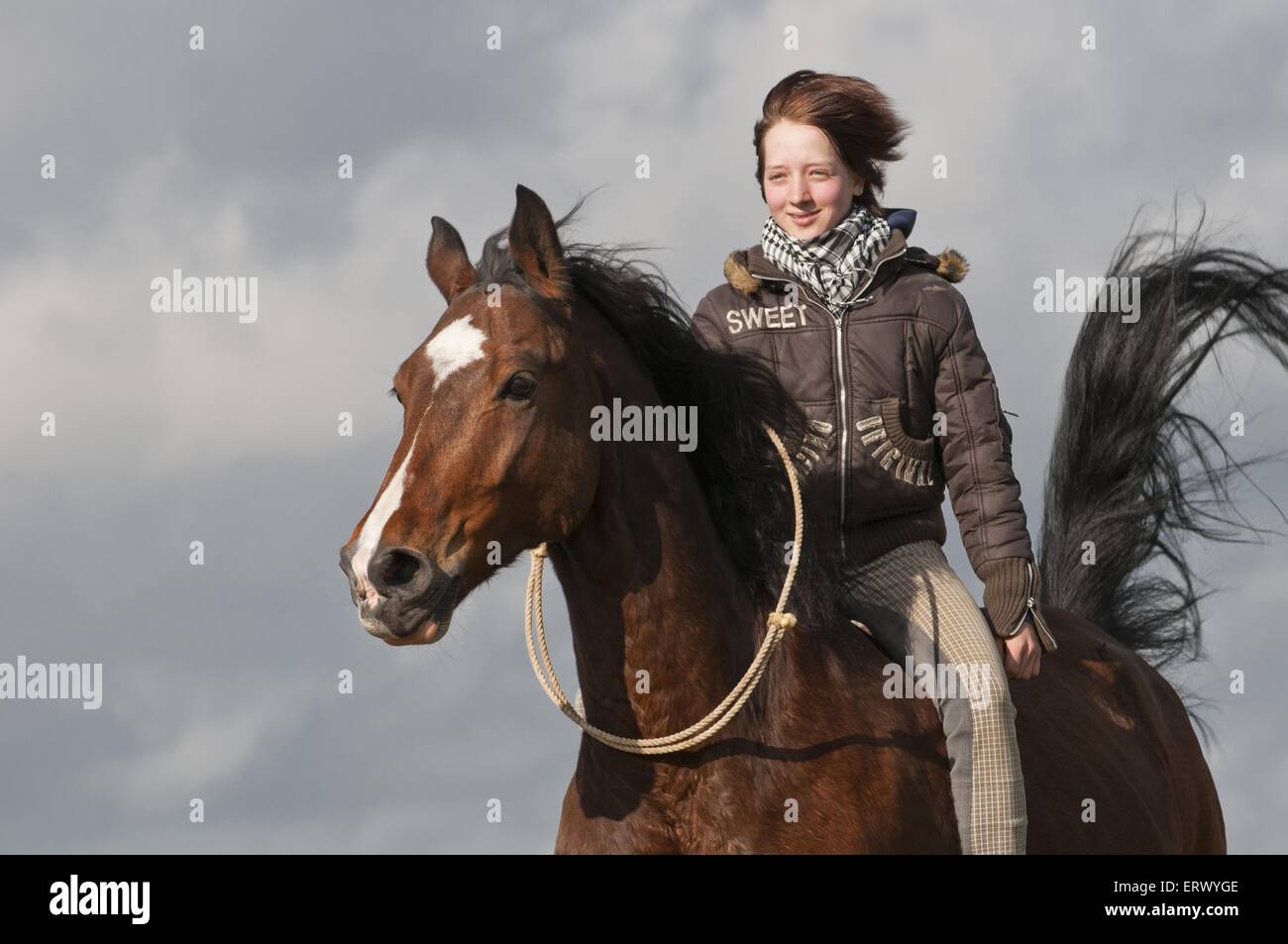 woman rides KWPN Stock Photo - Alamy