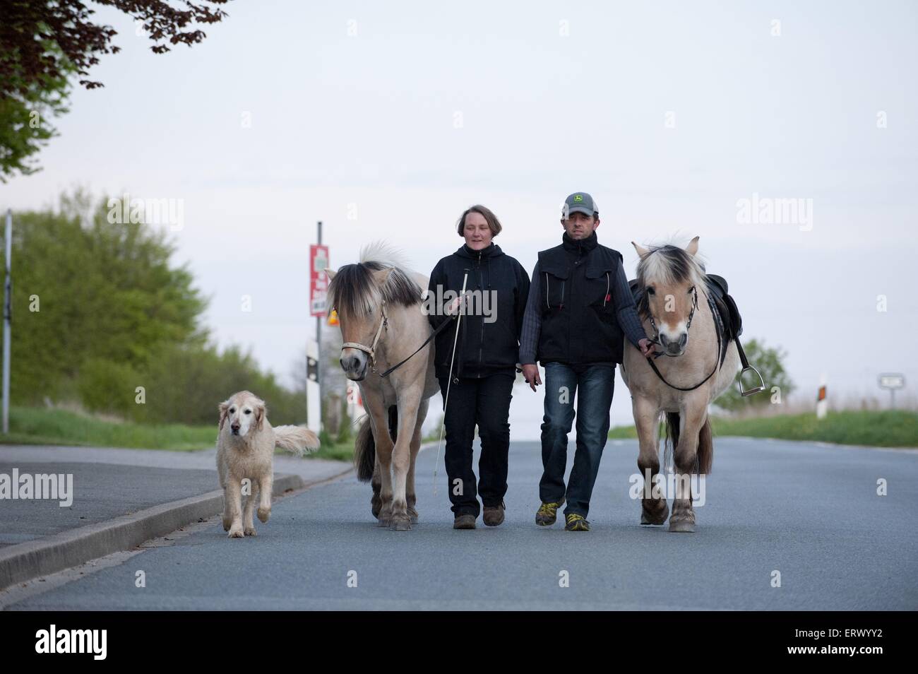 man and woman with horses and dog Stock Photo - Alamy