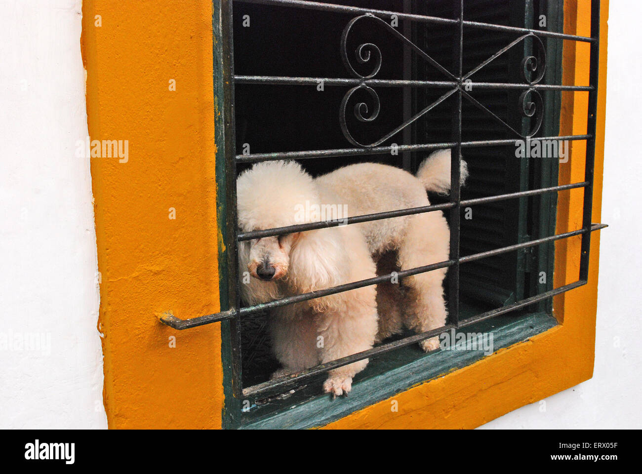 Iron bars window hi-res stock photography and images - Alamy