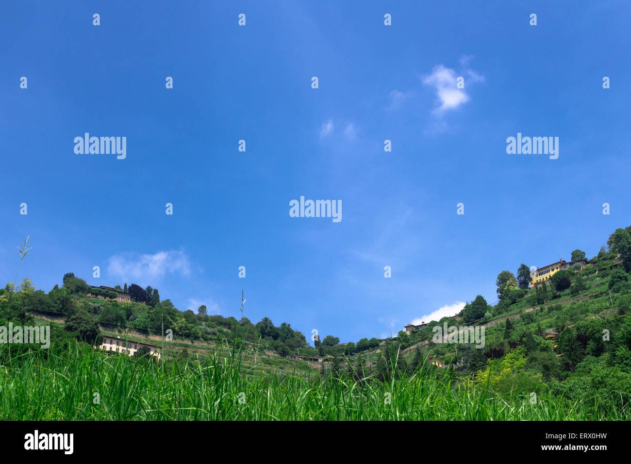 Unusual perspective of a rural landscape, in the middle of spring Stock ...