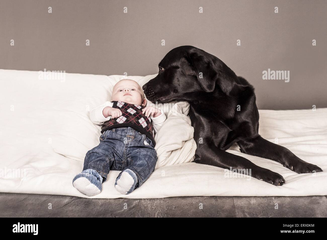 Labrador Retriever and baby Stock Photo - Alamy