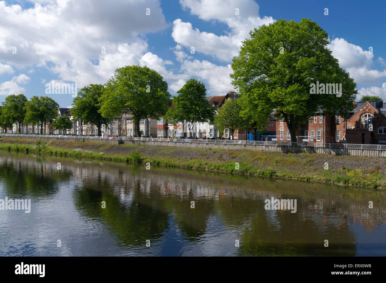 Tree lined embankment hi-res stock photography and images - Alamy