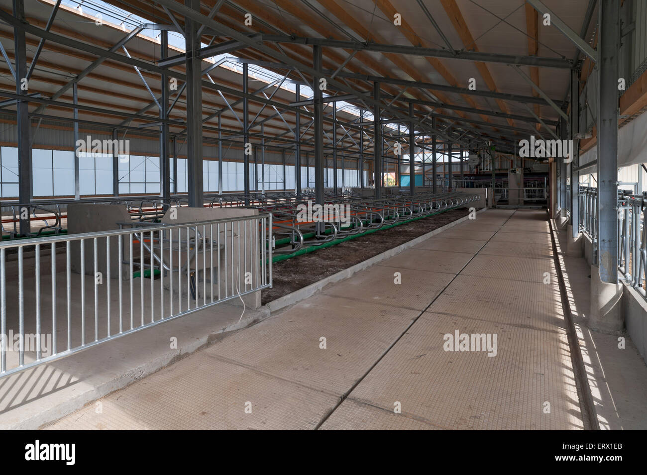 Modern Dairy Farm Layout