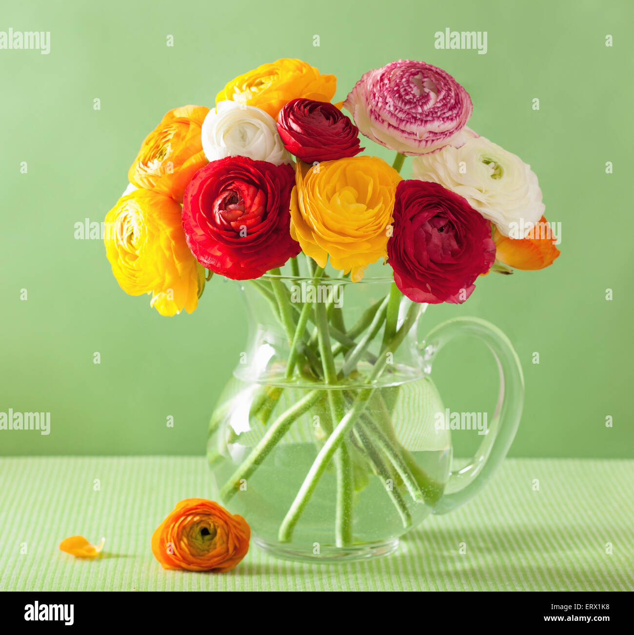 colorful ranunculus flowers in vase over green background Stock Photo ...