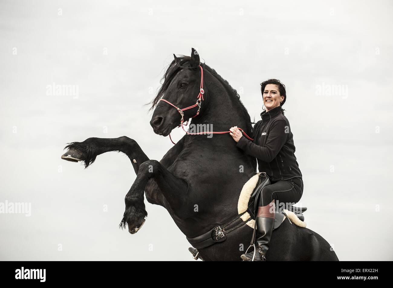Woman rides friesian horse hi-res stock photography and images - Alamy