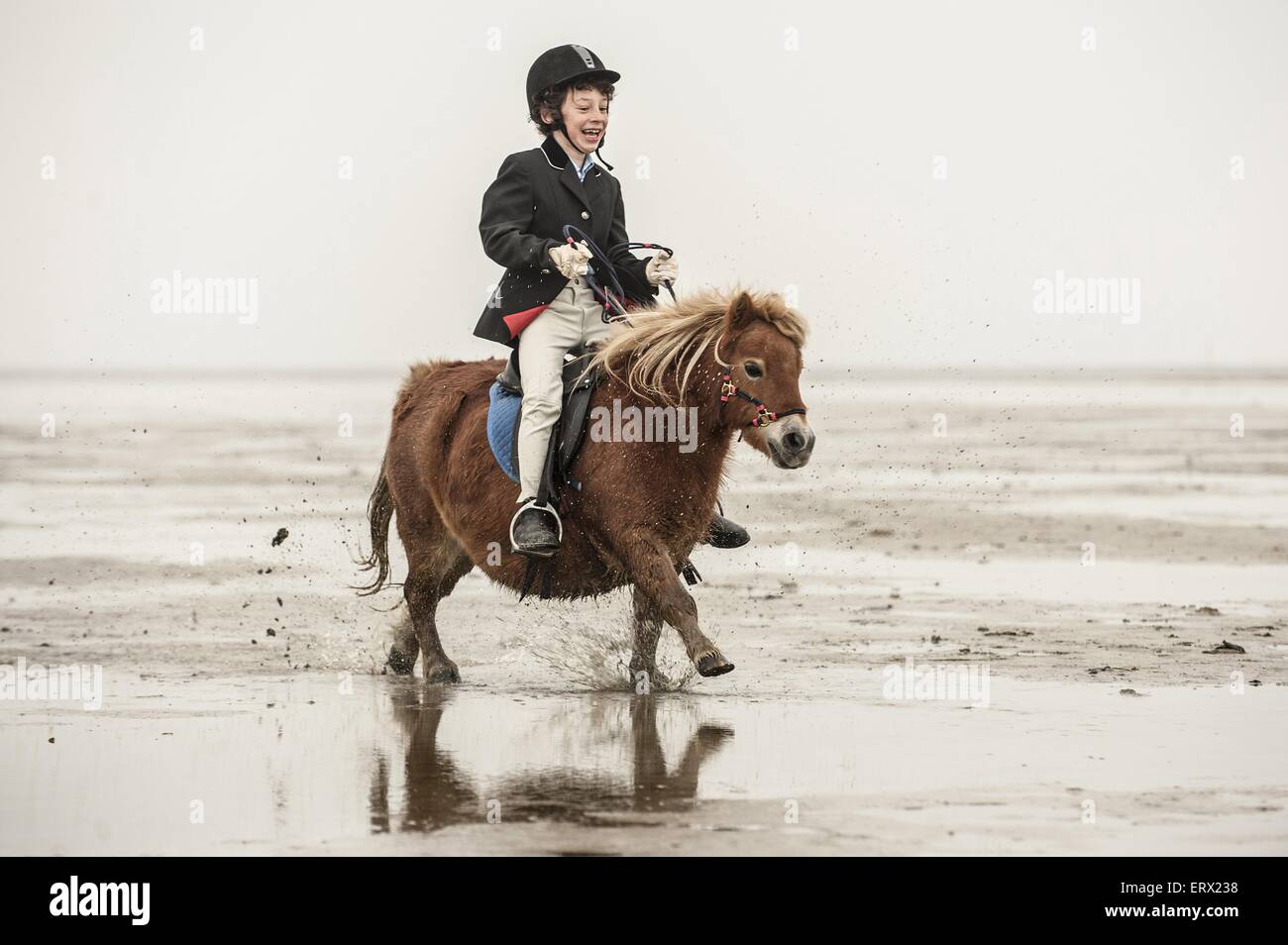boy rides Shetland Pony Stock Photo - Alamy
