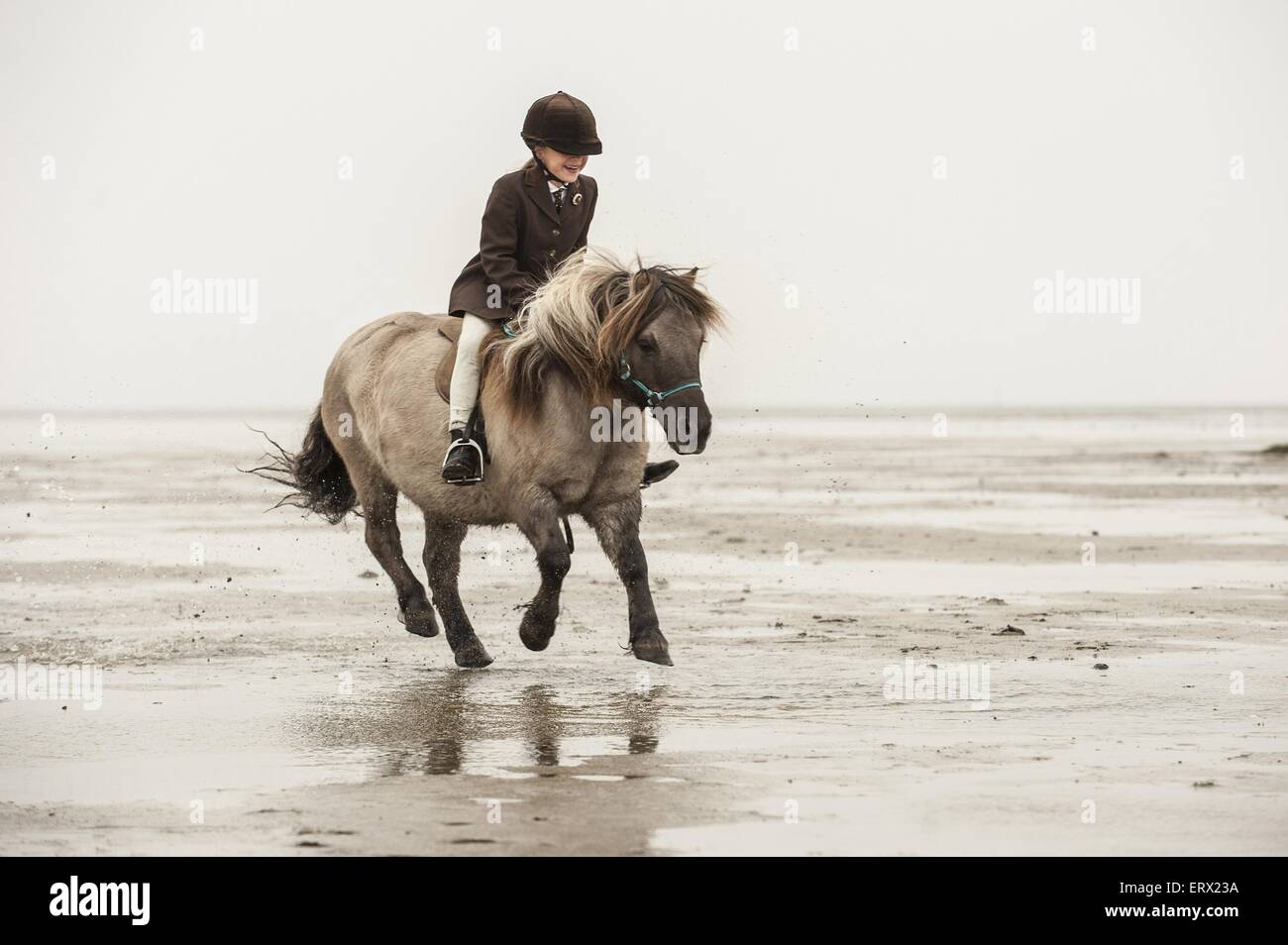 girl rides Shetland Pony Stock Photo - Alamy