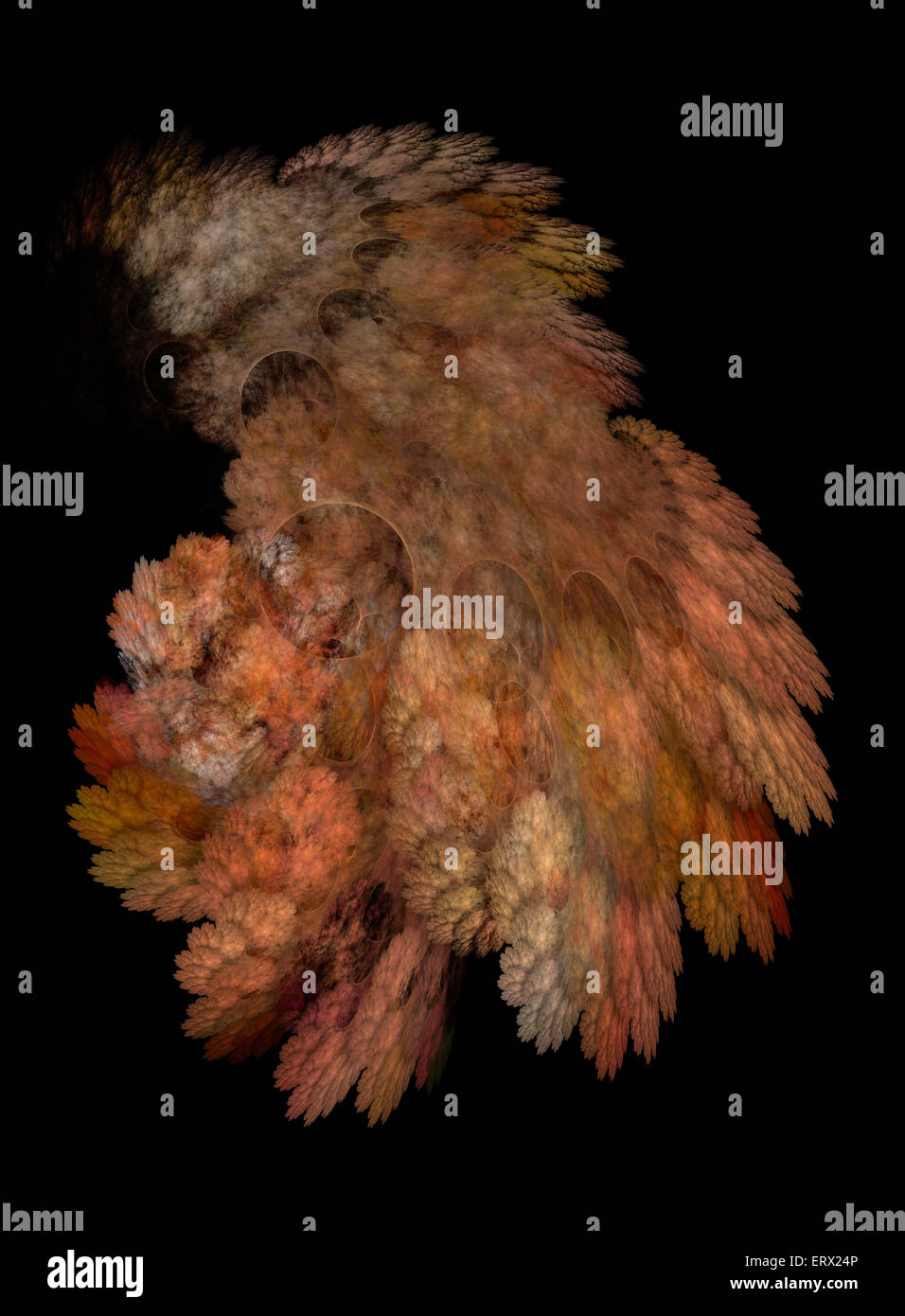 Fawna hi-res stock photography and images - Alamy