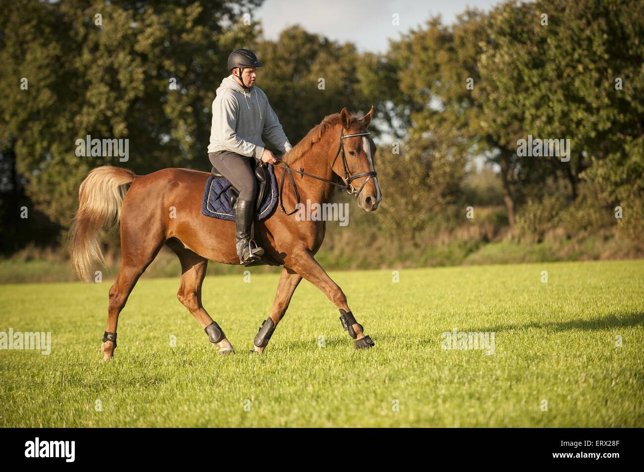 Man running with horse hi-res stock photography and images - Alamy
