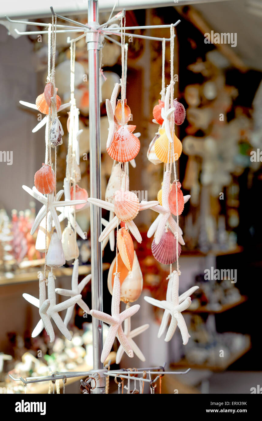 collection of various colorful seashells and starfish tied each other ...