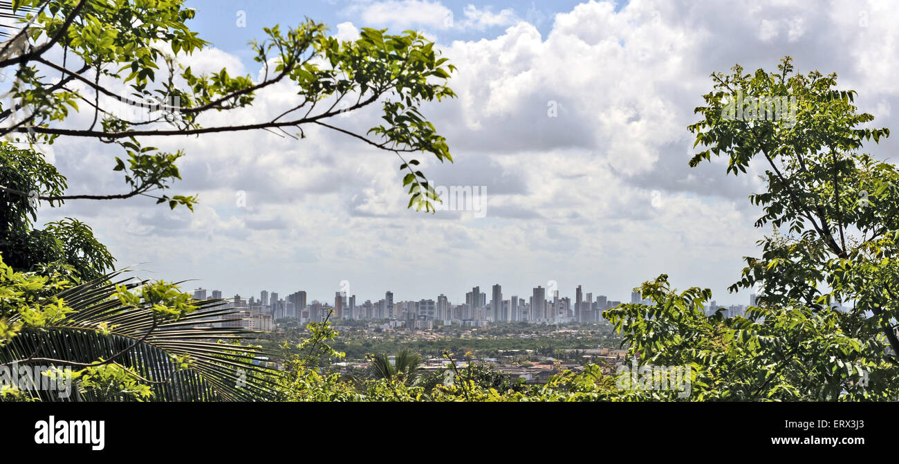 Recife, Pernambuco, Brazil, 2009. A view to Recife through the trees ...