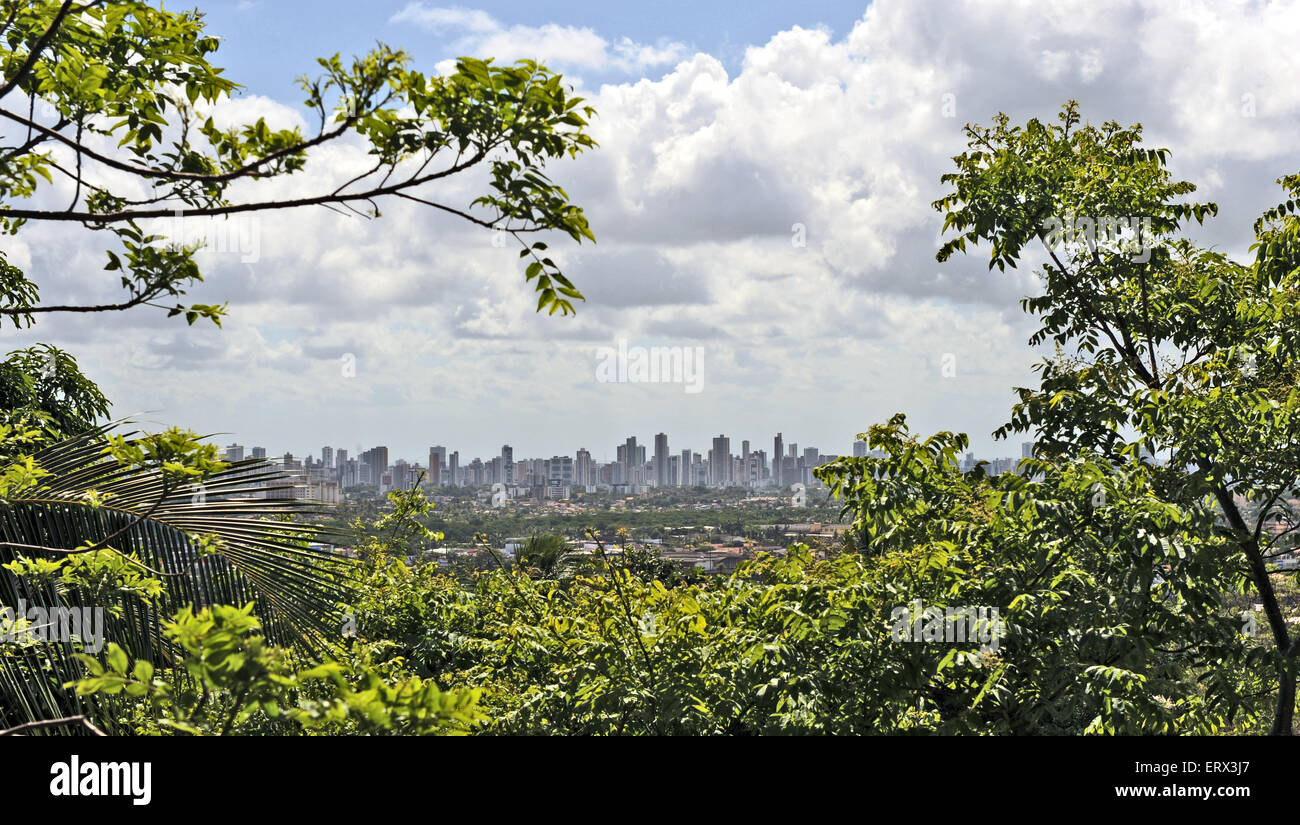 Recife, Pernambuco, Brazil, 2009. A view to Recife through the trees ...