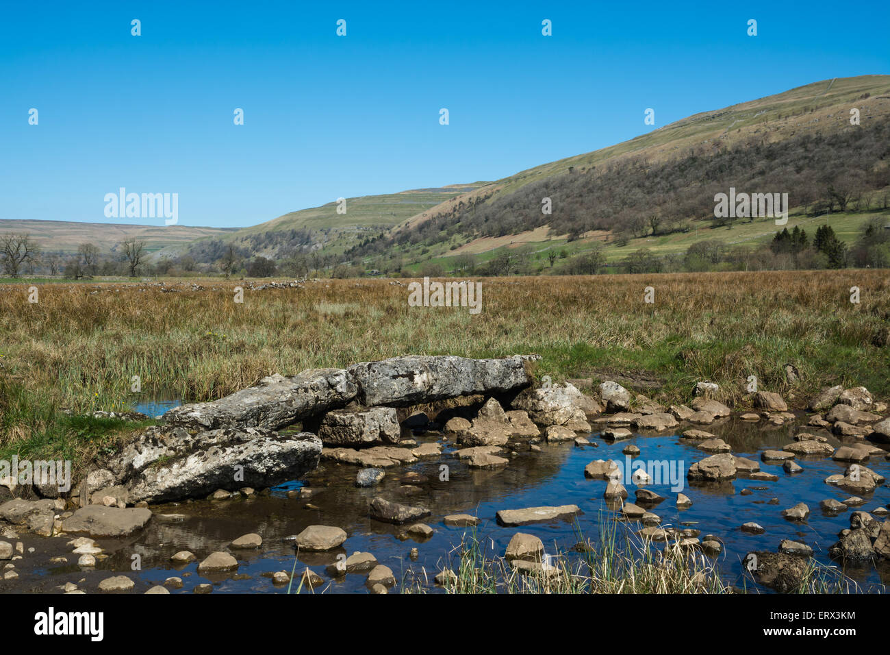 An old clapper bridge in Wharfedale in the Yorkshire Dales Stock Photo ...