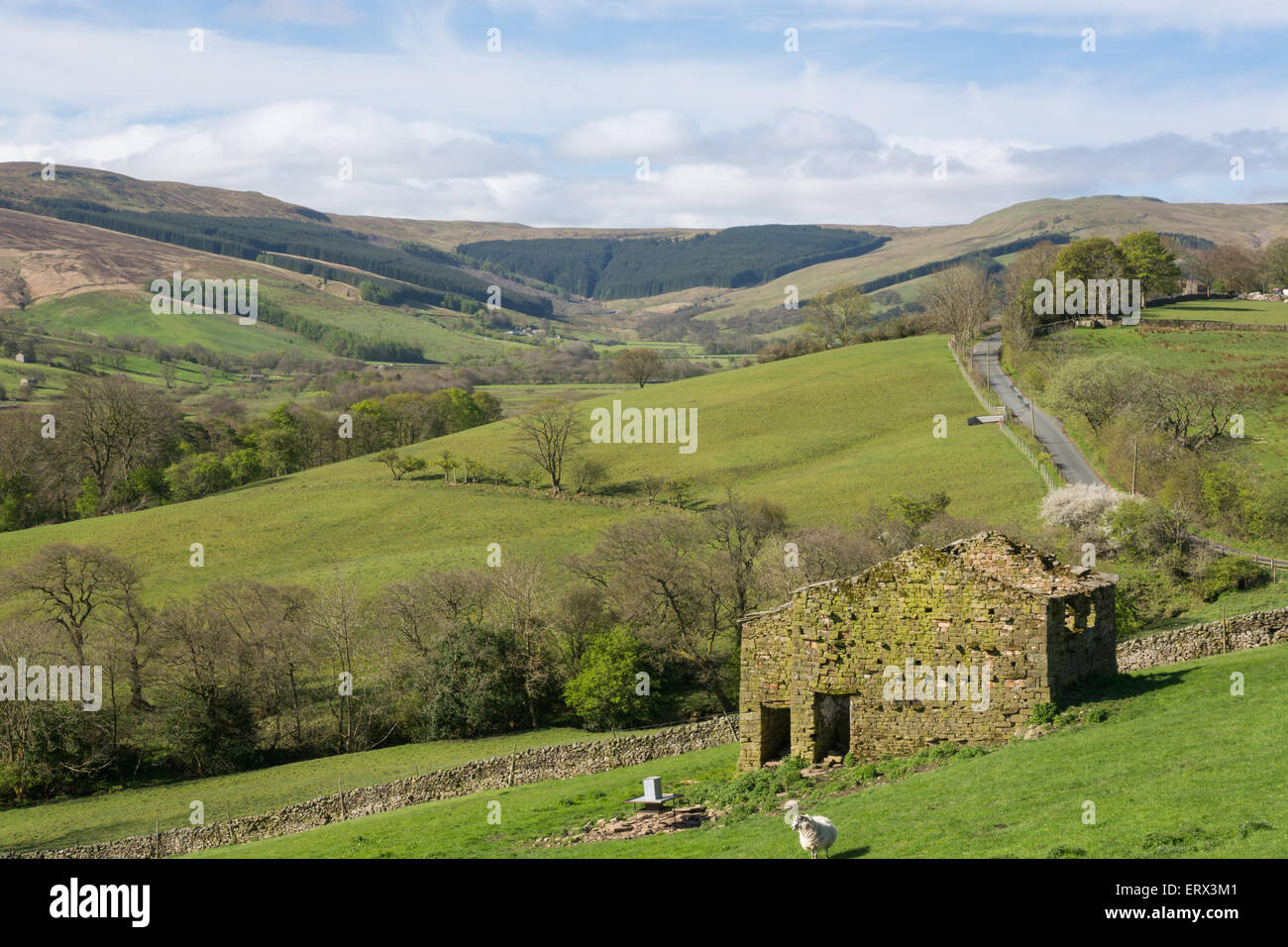 Raydale hi-res stock photography and images - Alamy