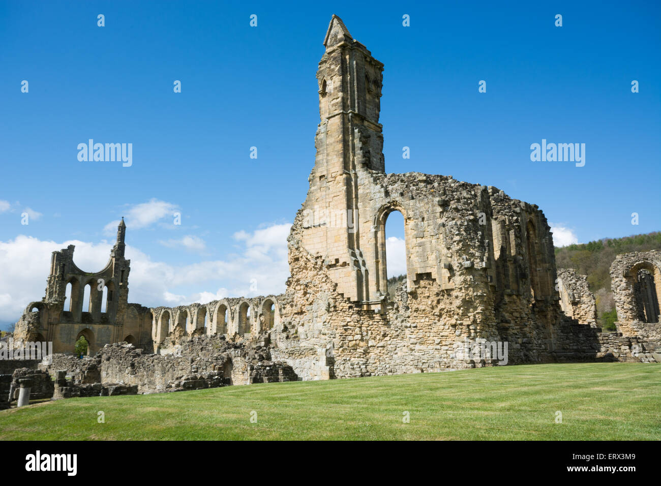 Byland Abbey in North Yorkshire Stock Photo - Alamy