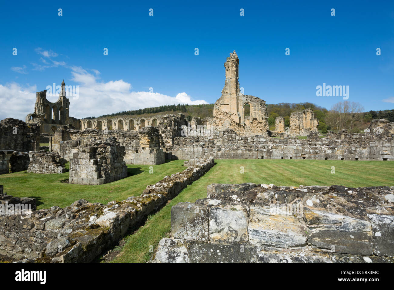 Byland Abbey in North Yorkshire Stock Photo - Alamy