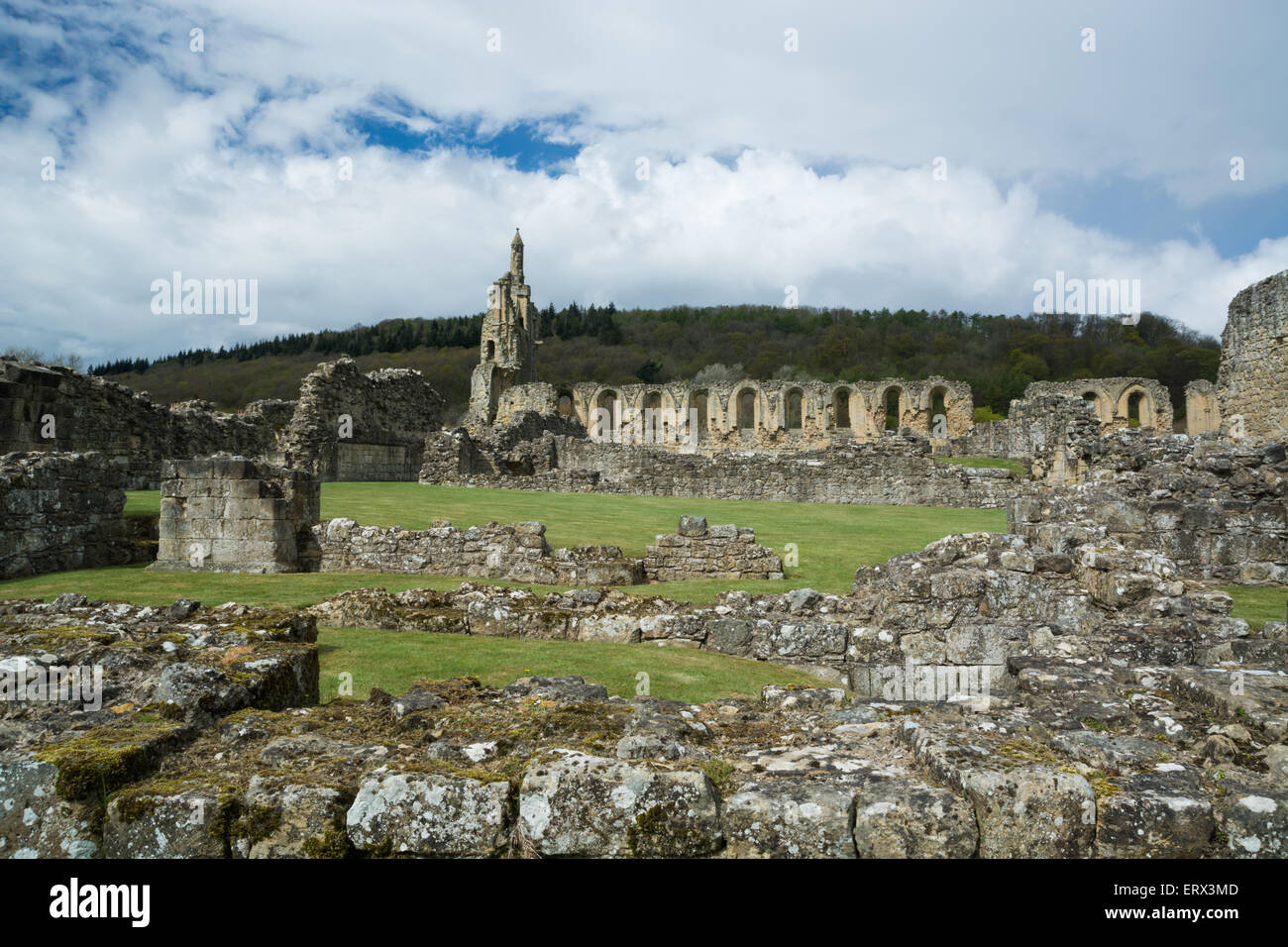 Byland Abbey in North Yorkshire Stock Photo - Alamy