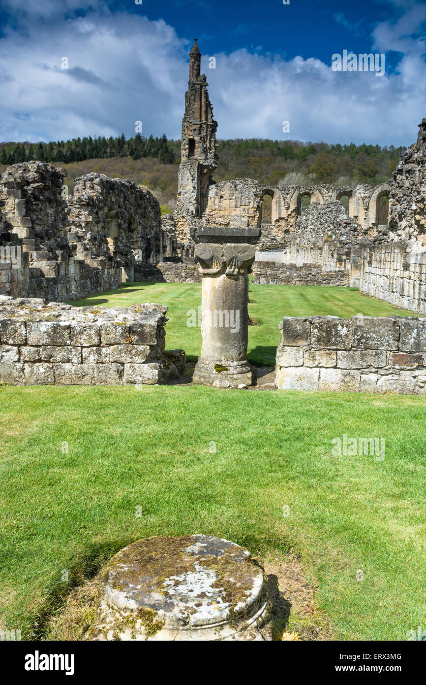Byland abbey in north yorkshire hi-res stock photography and images - Alamy