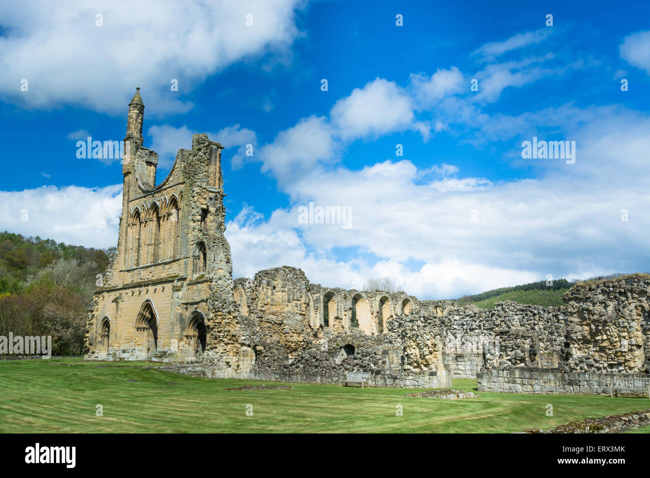 Byland Abbey in North Yorkshire Stock Photo - Alamy