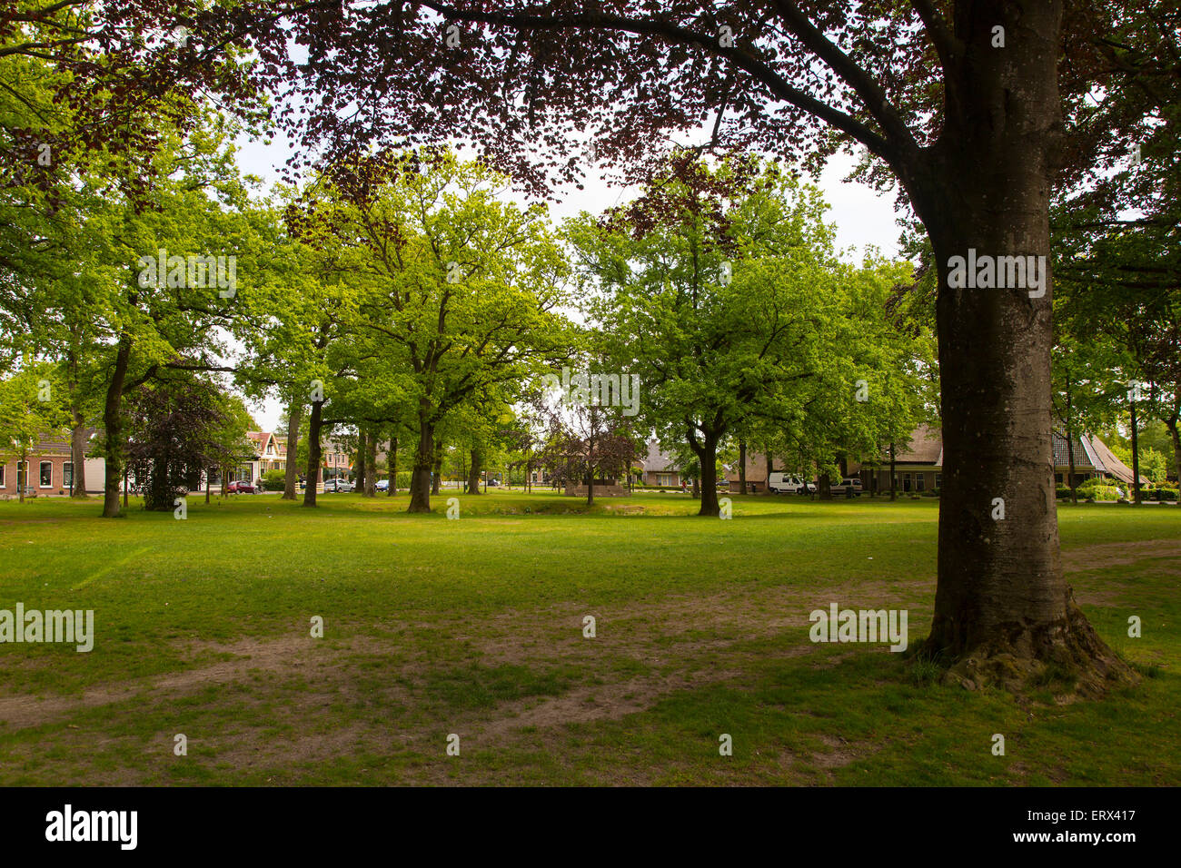 Dwingeloo hi-res stock photography and images - Alamy