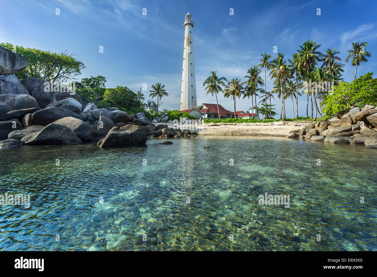 Island of tall trees hi-res stock photography and images - Alamy