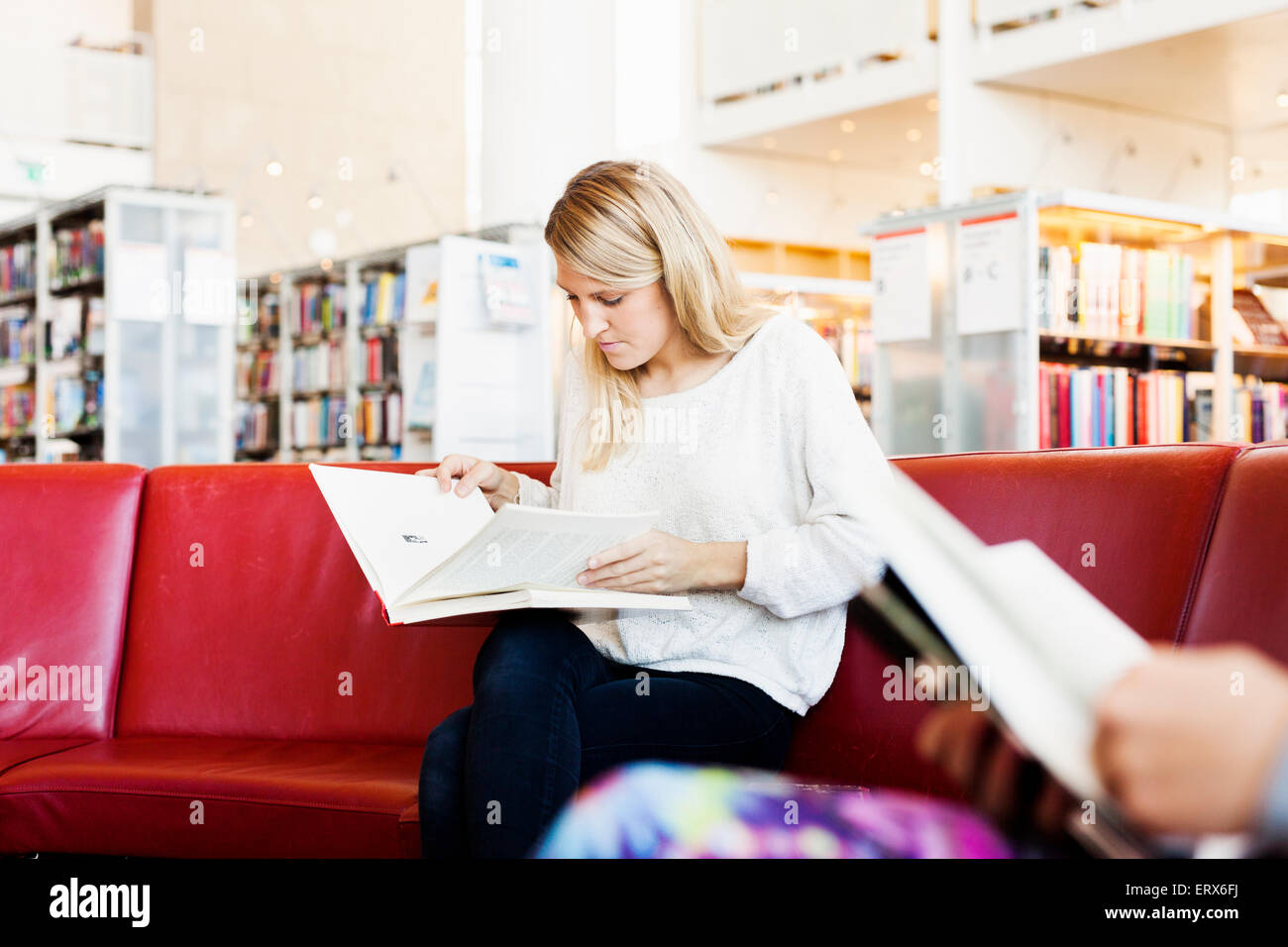 Young woman reading book while sitting on sofa at library Stock Photo ...