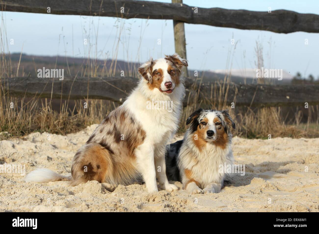 Two shepherds sit hi-res stock photography and images - Alamy