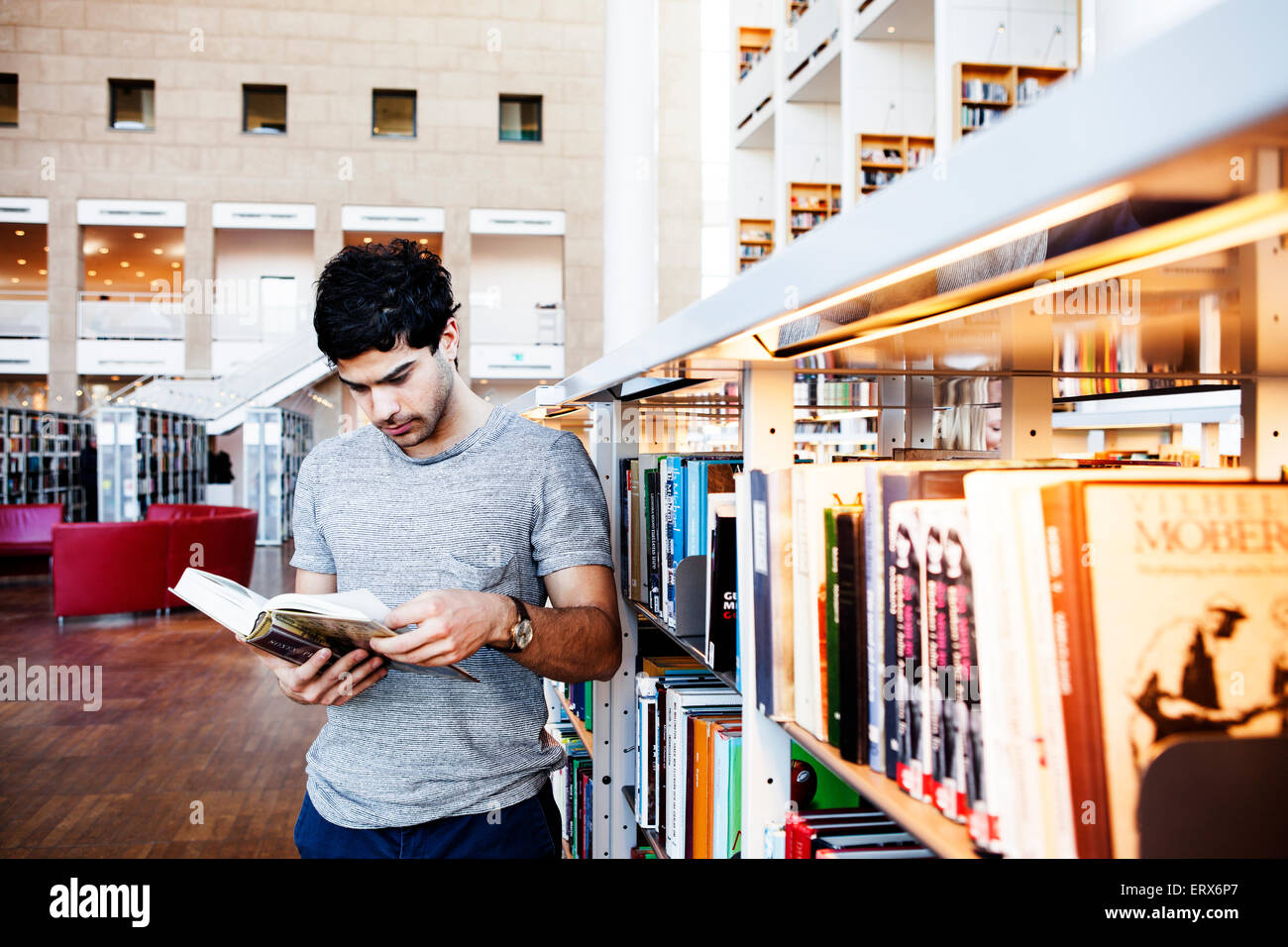 Library Shelf Arrangement High Resolution Stock Photography and Images ...