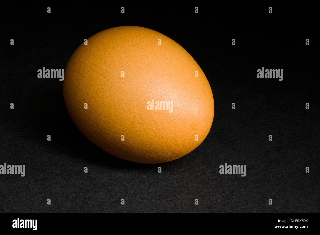 Ordinary egg hi-res stock photography and images - Alamy