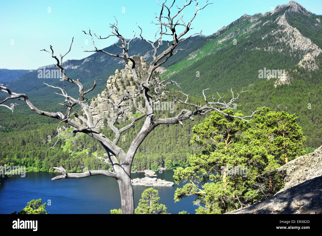 Borovoe (Burabai), national park in Kazakhstan Stock Photo - Alamy