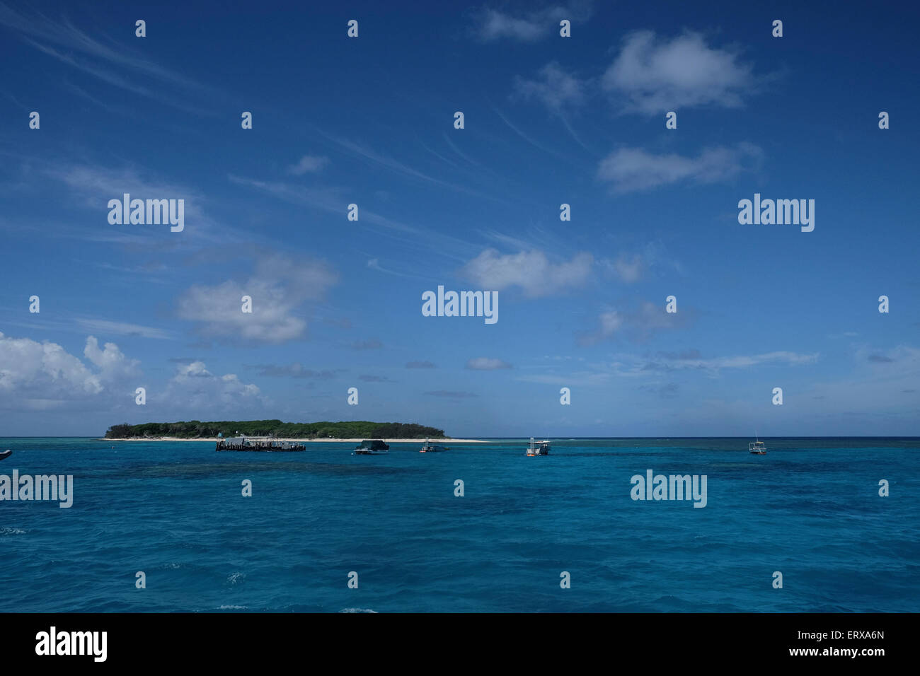 At Lady Musgrave Island Stock Photo - Alamy