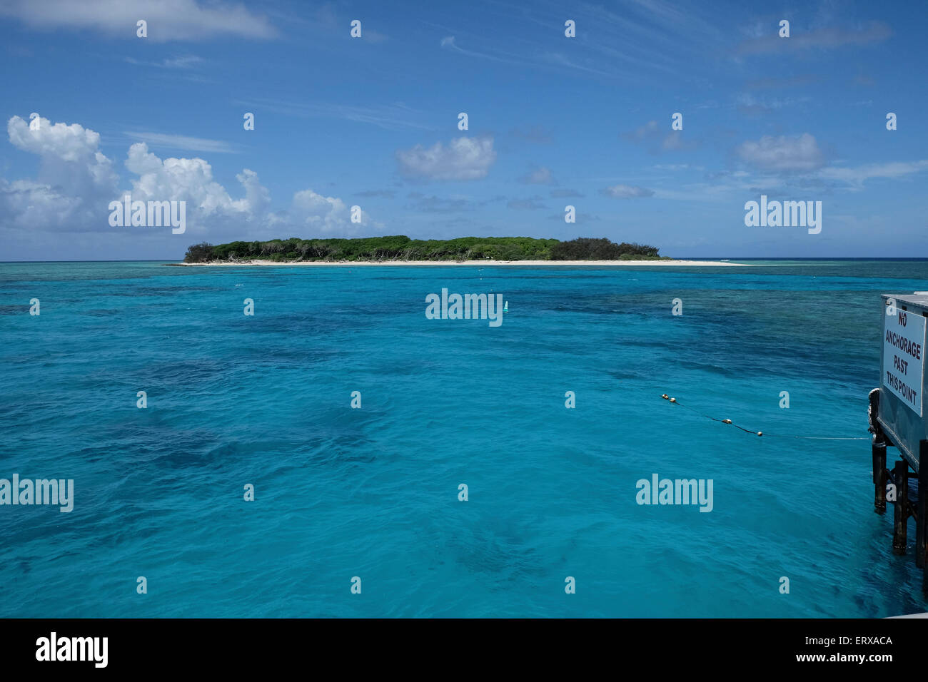 At Lady Musgrave Island Stock Photo - Alamy