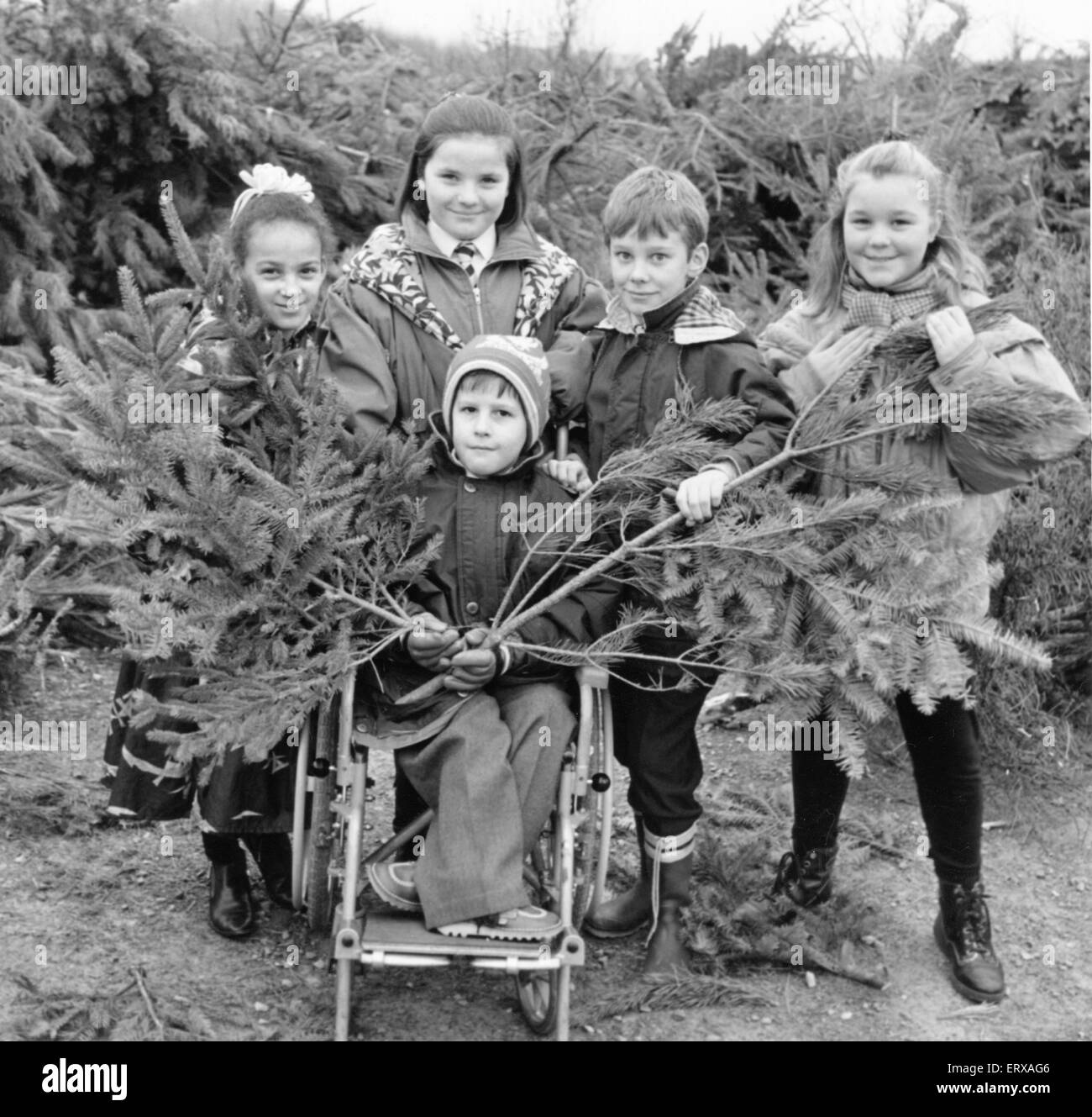 Bobby Keeley gets some help collecting christmas trees from left to ...