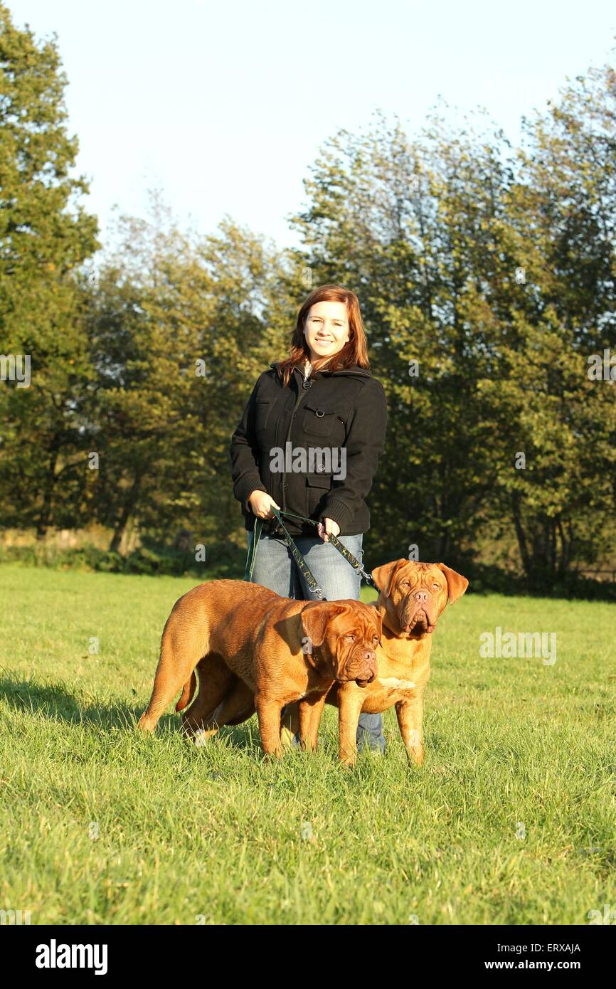 Woman walking several dogs hi-res stock photography and images - Alamy