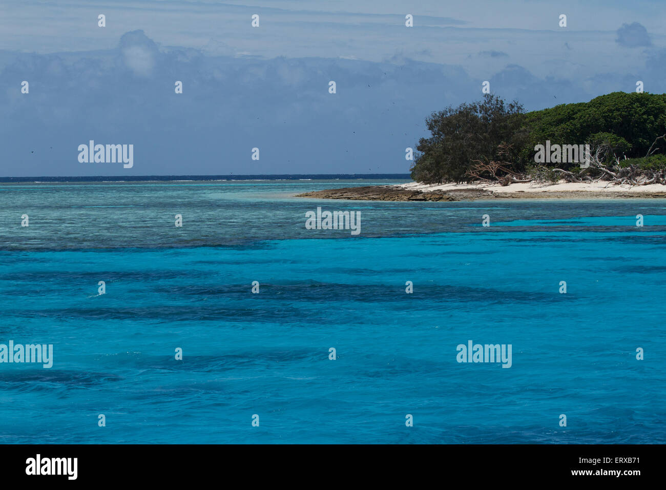 At Lady Musgrave Island Stock Photo - Alamy