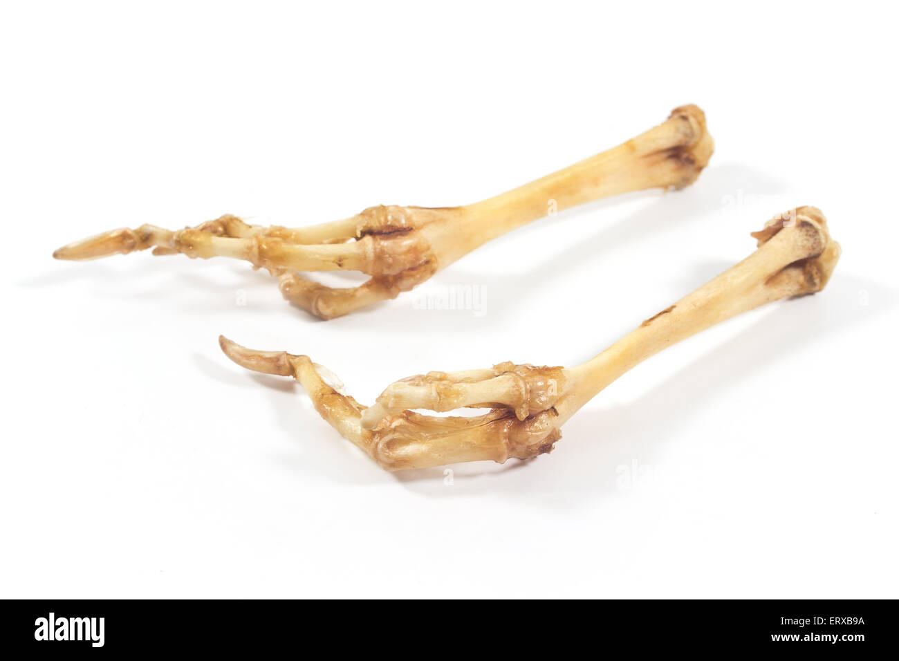 Bird legs hi-res stock photography and images - Alamy