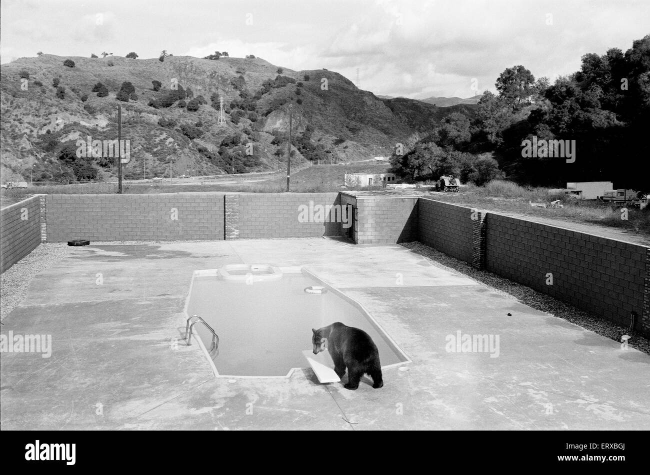 Hercules The Grizzly Bear, with owners Andy & Maggie Robin, at his new ...