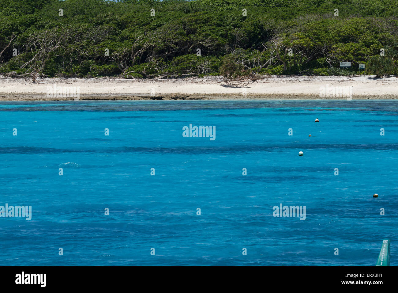 At Lady Musgrave Island Stock Photo - Alamy