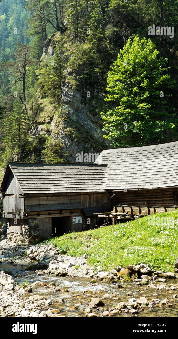 Mill trees hi-res stock photography and images - Alamy