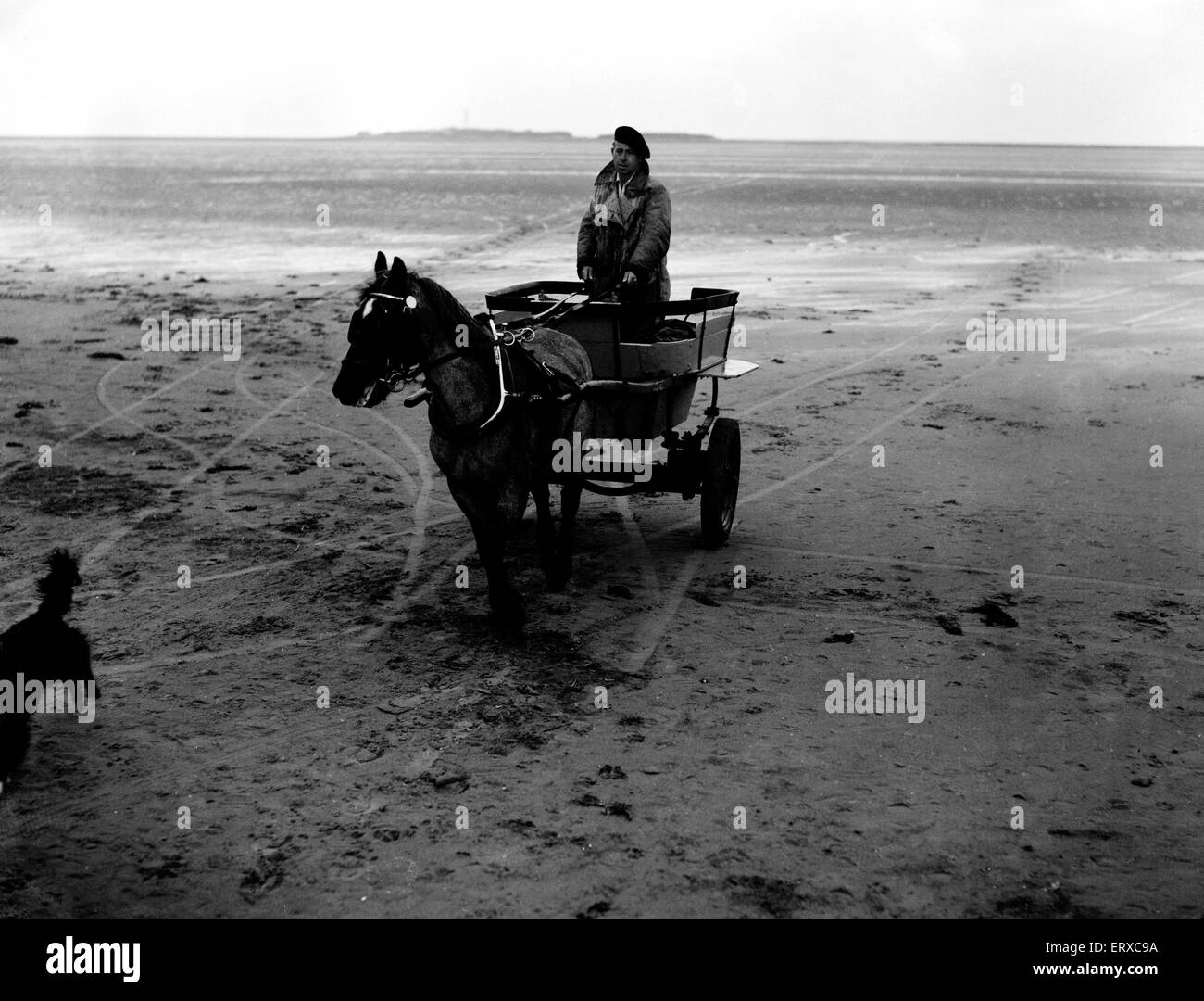 Les smith hi-res stock photography and images - Alamy