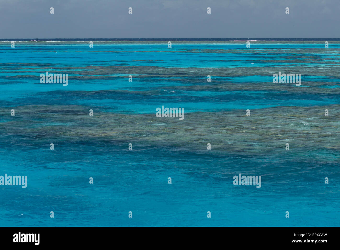 At Lady Musgrave Island Stock Photo - Alamy