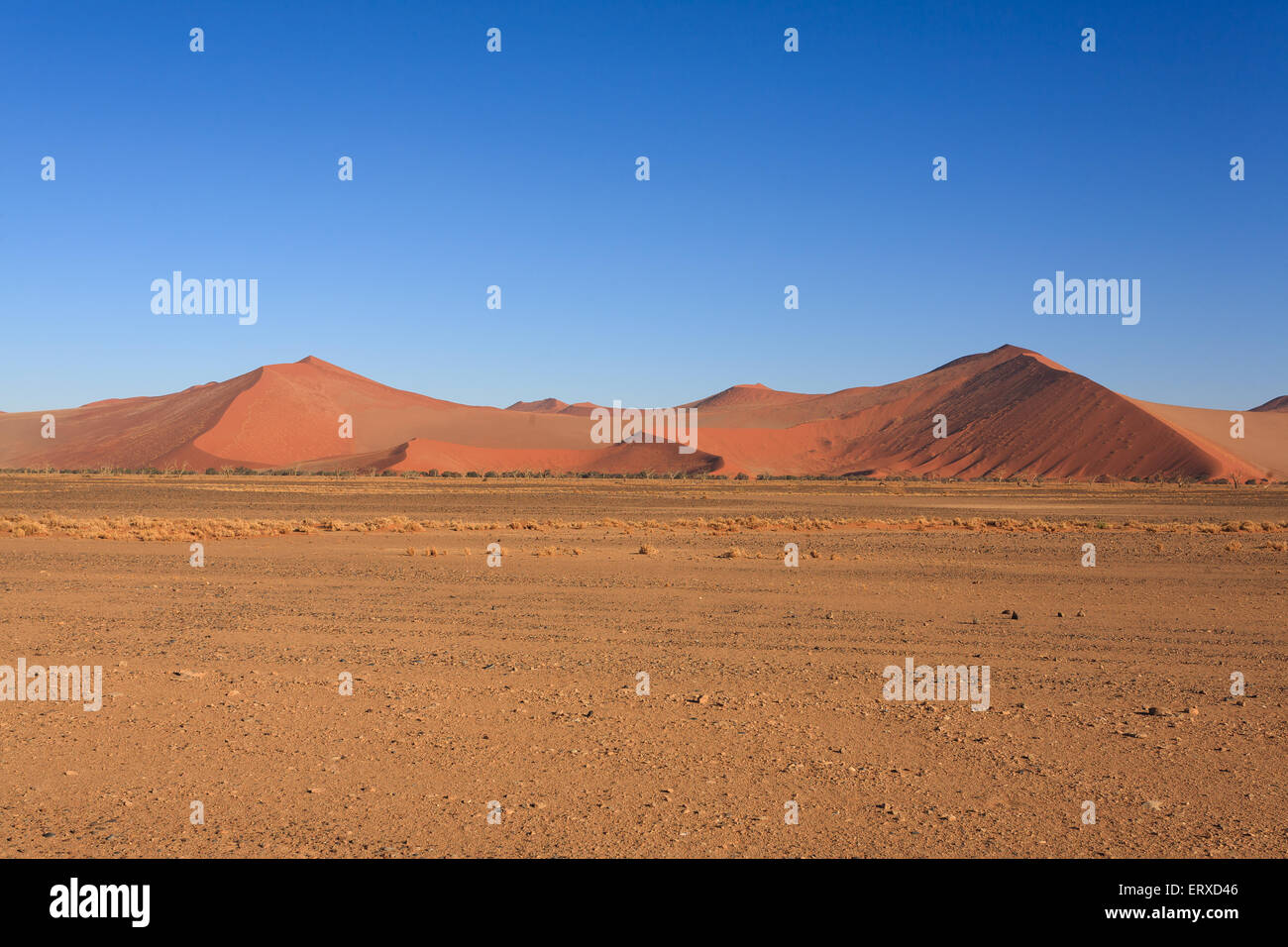 Red dunes on the road to Sossusvlei, Namibia Stock Photo - Alamy